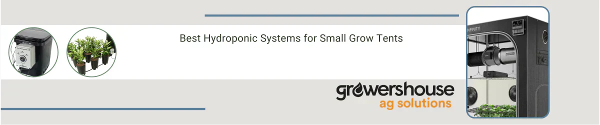 Best Hydroponic Systems for Small Grow Tents – GrowersHouse