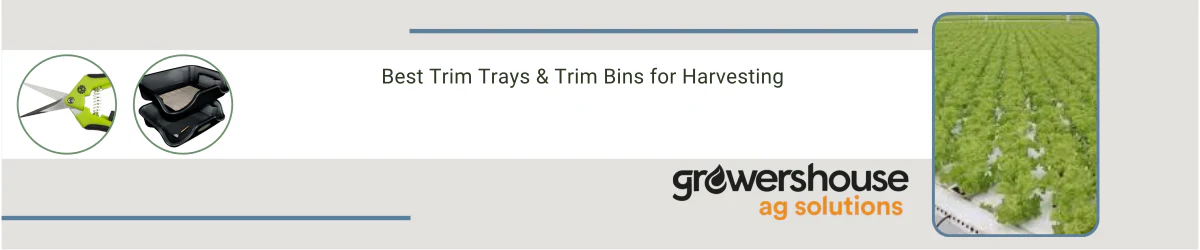 Best Trim Trays & Trim Bins for Harvesting – GrowersHouse