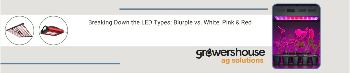 Breaking Down the LED Types: Blurple vs. White, Pink & Red – GrowersHouse
