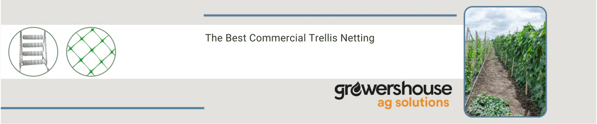 The Best Commercial Trellis Netting – GrowersHouse