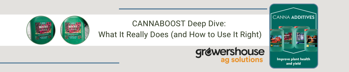 CANNABOOST Review: Real Results from GrowersHouse