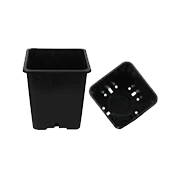 Square Pots – GrowersHouse