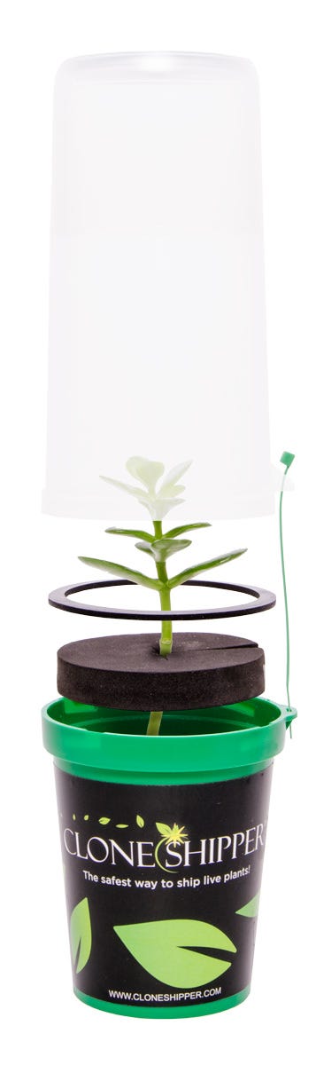 Clone Shipper Plant Shipping Module direct from Growers House ...